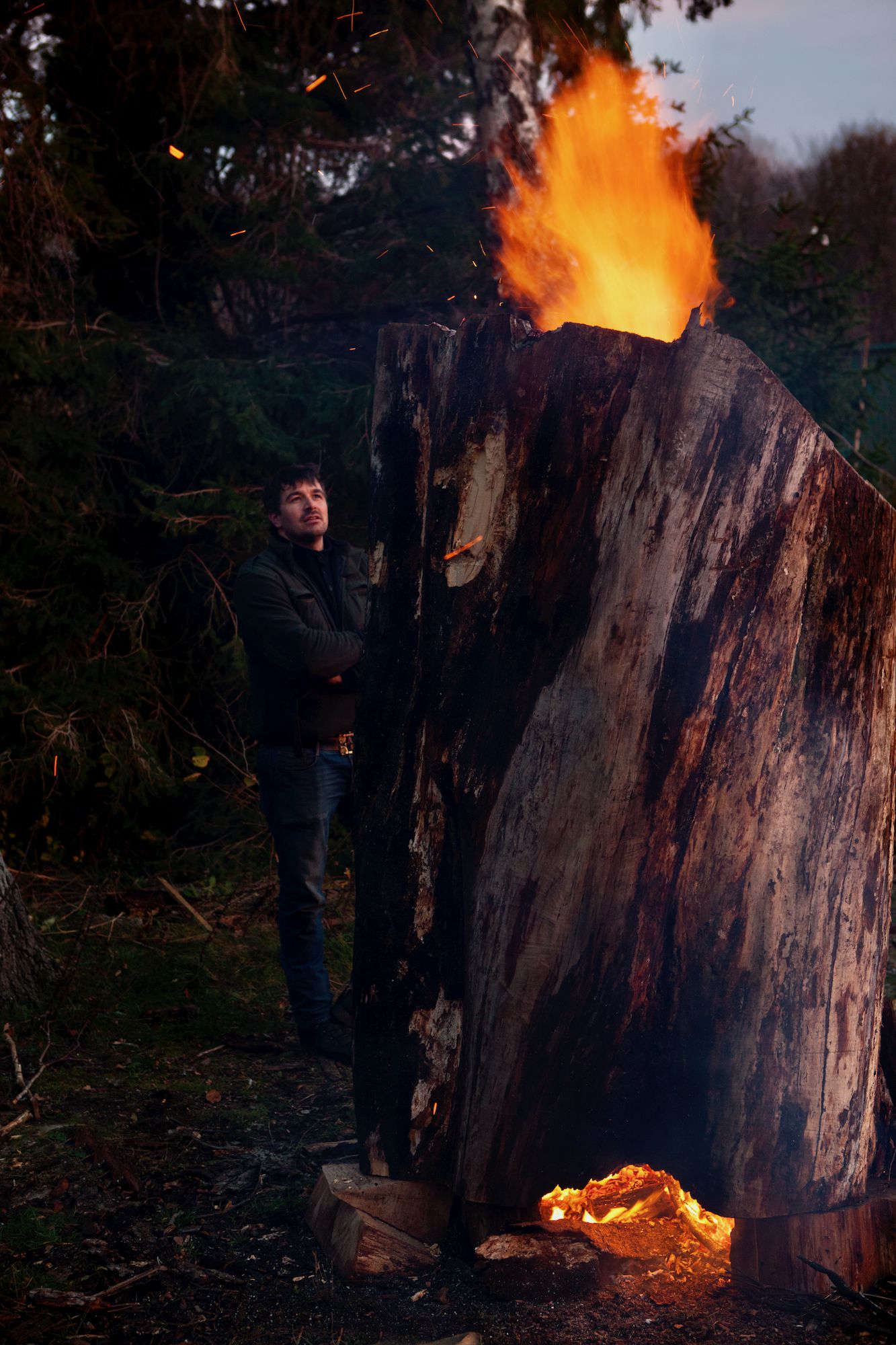 Kaspar Hamacher in the Trees – TLmagazine