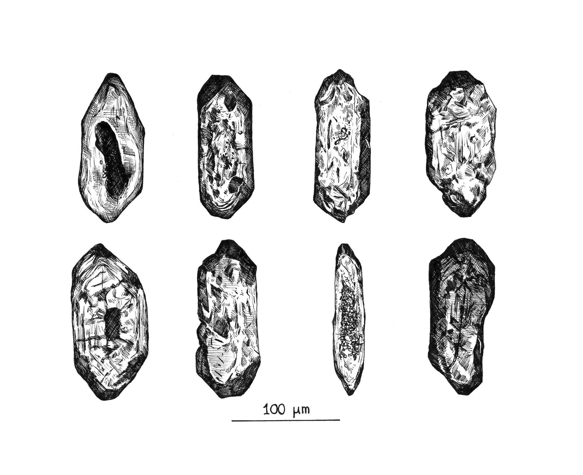 Marcia Bjornerud: Sedimentary Thoughts – TLmagazine